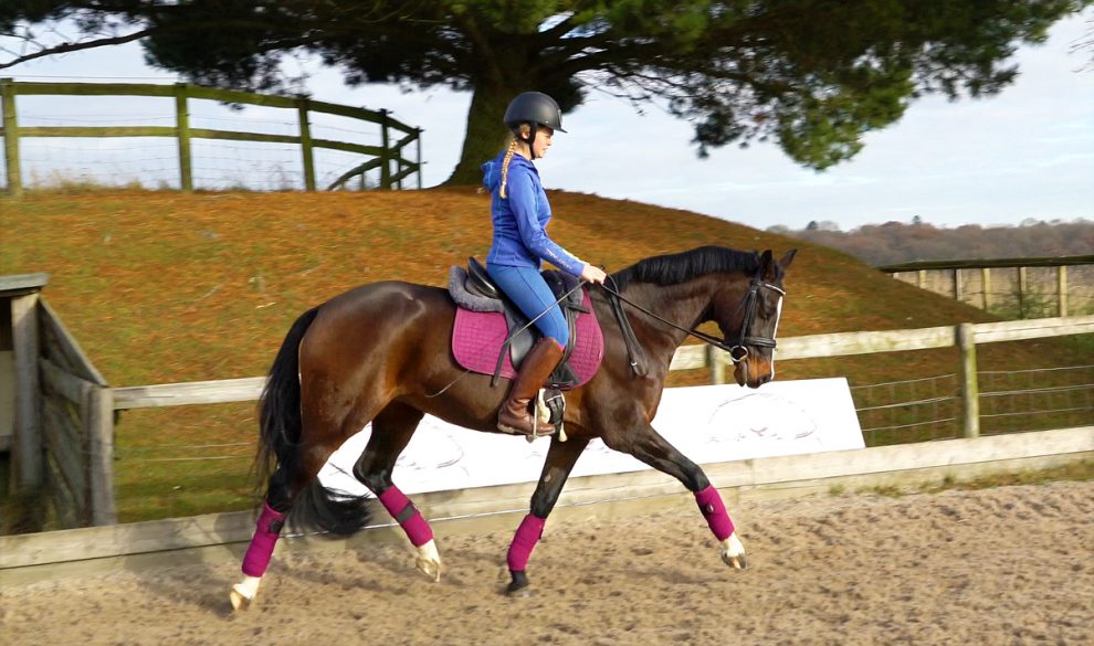 BAD SCHOOLING SESSION… – Dressage Training TV