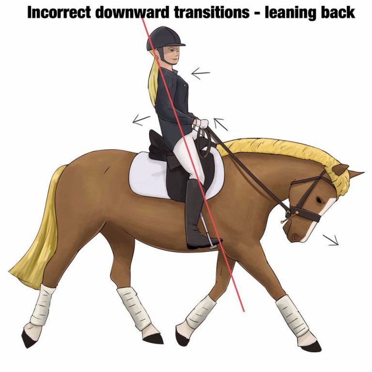 DOWNWARD TRANSITIONS – Dressage Training TV