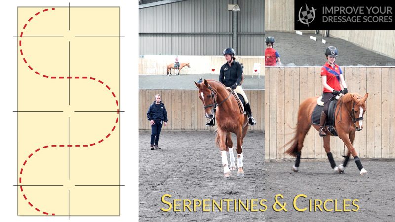 RIDING UP THE CENTER LINE – DRESSAGE TRAINING – Dressage Training TV