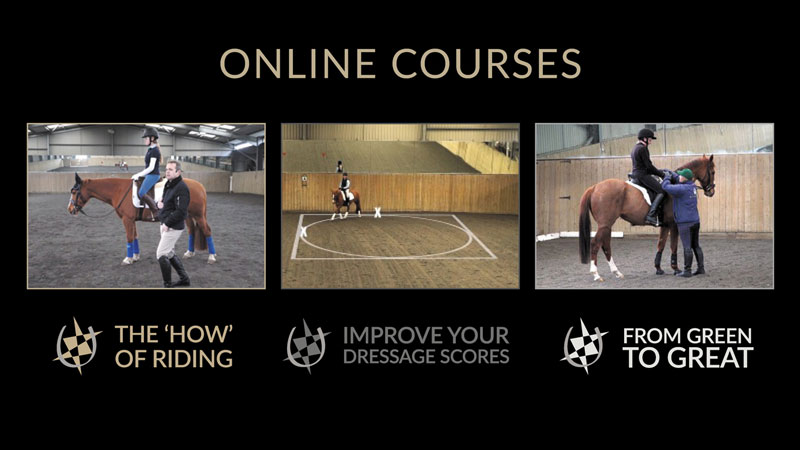 Dressage Training TV - Dressage Training For All