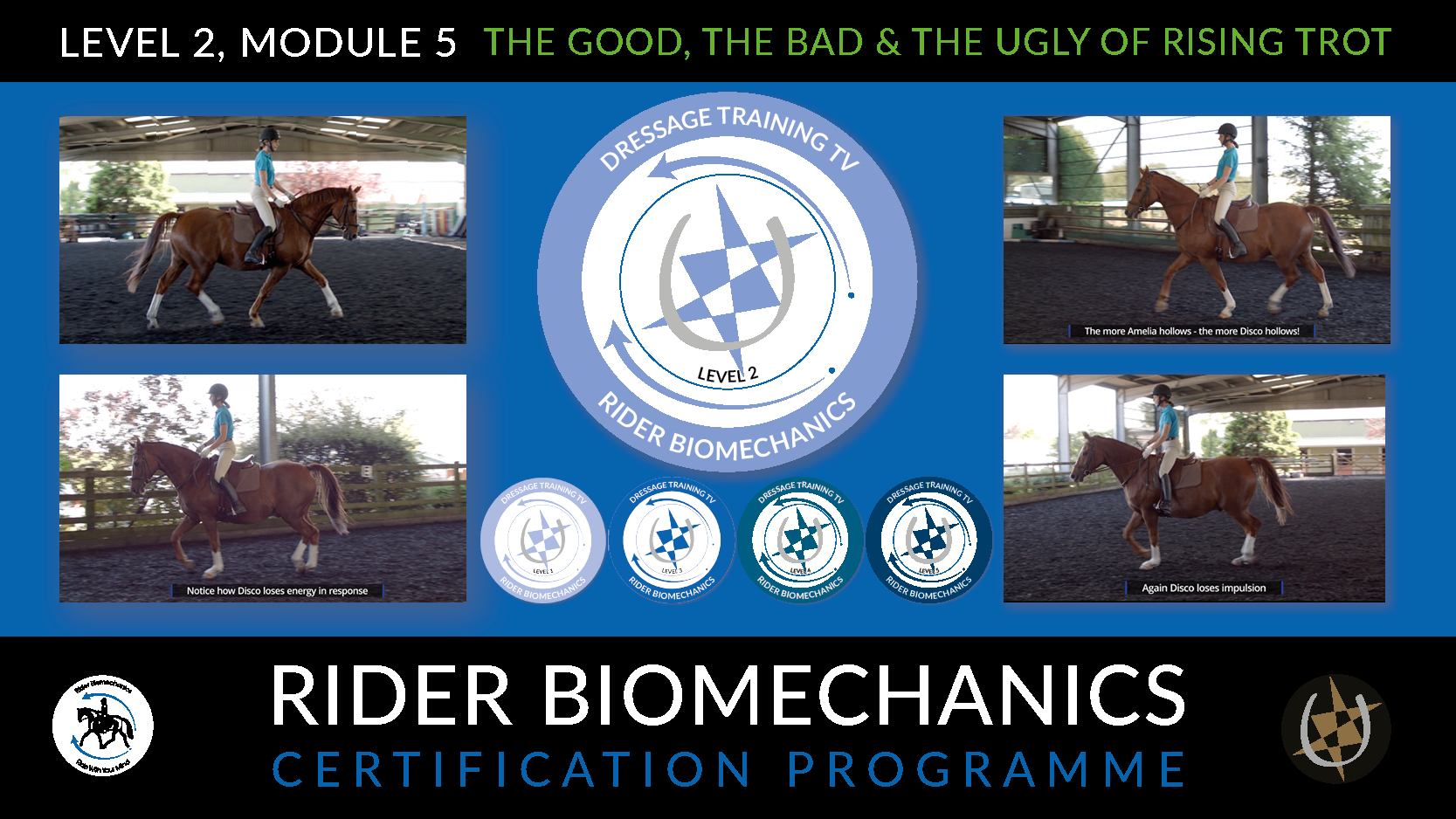 Dressage Training TV - Dressage Training For All